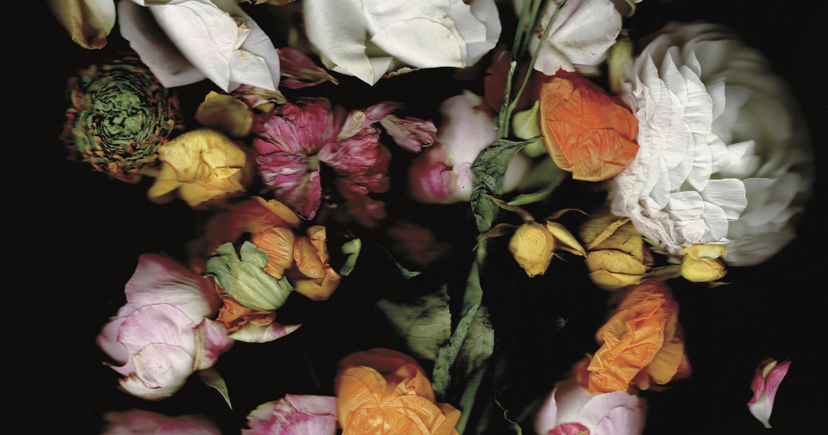 Still_Life_Scan, Napoli | 18 March - 8 April 2022 | SimonBart Gallery